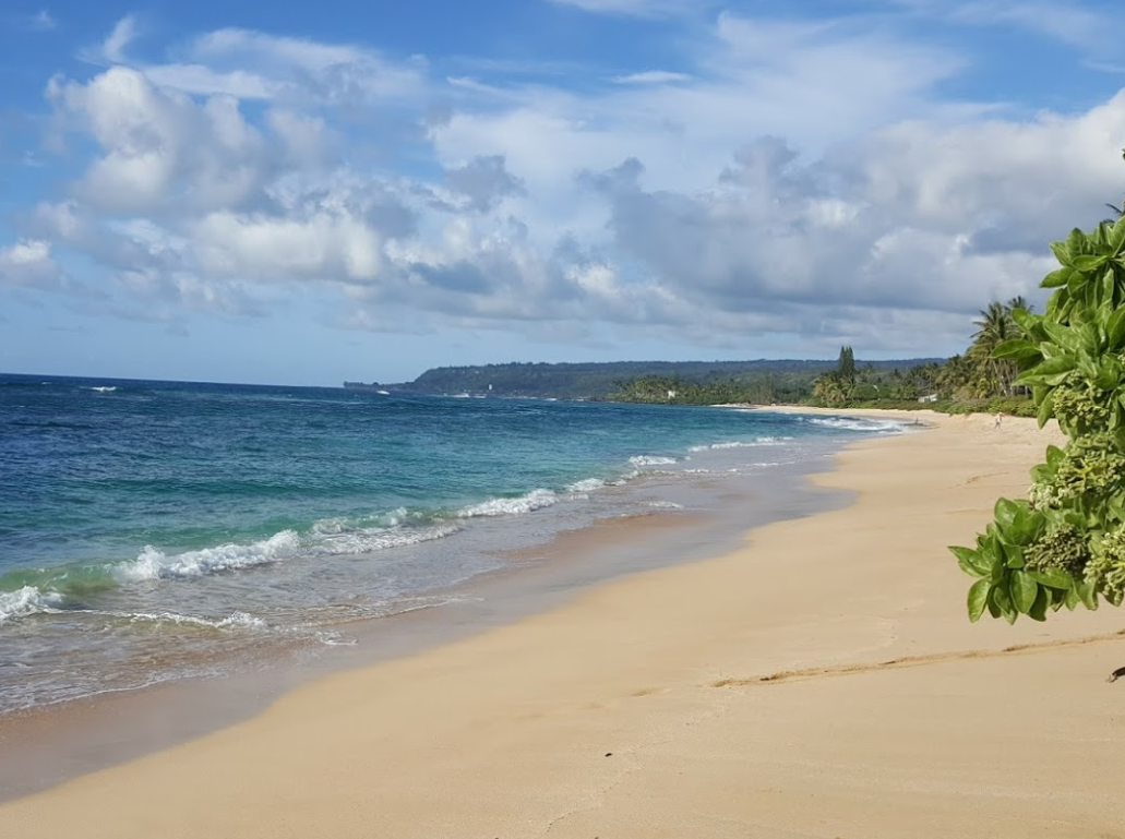 Papailoa Beach（パパイロアビーチ）ノースショア